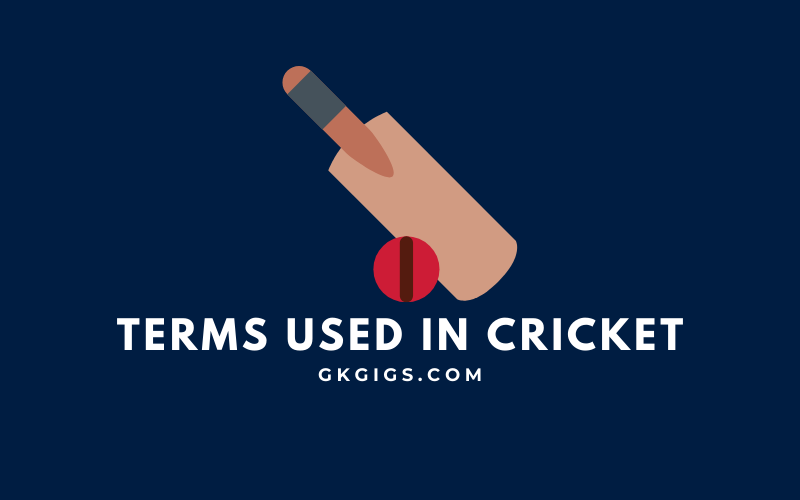 List Of 500+ Terms Used In Cricket: T20, WC, ODI, Etc